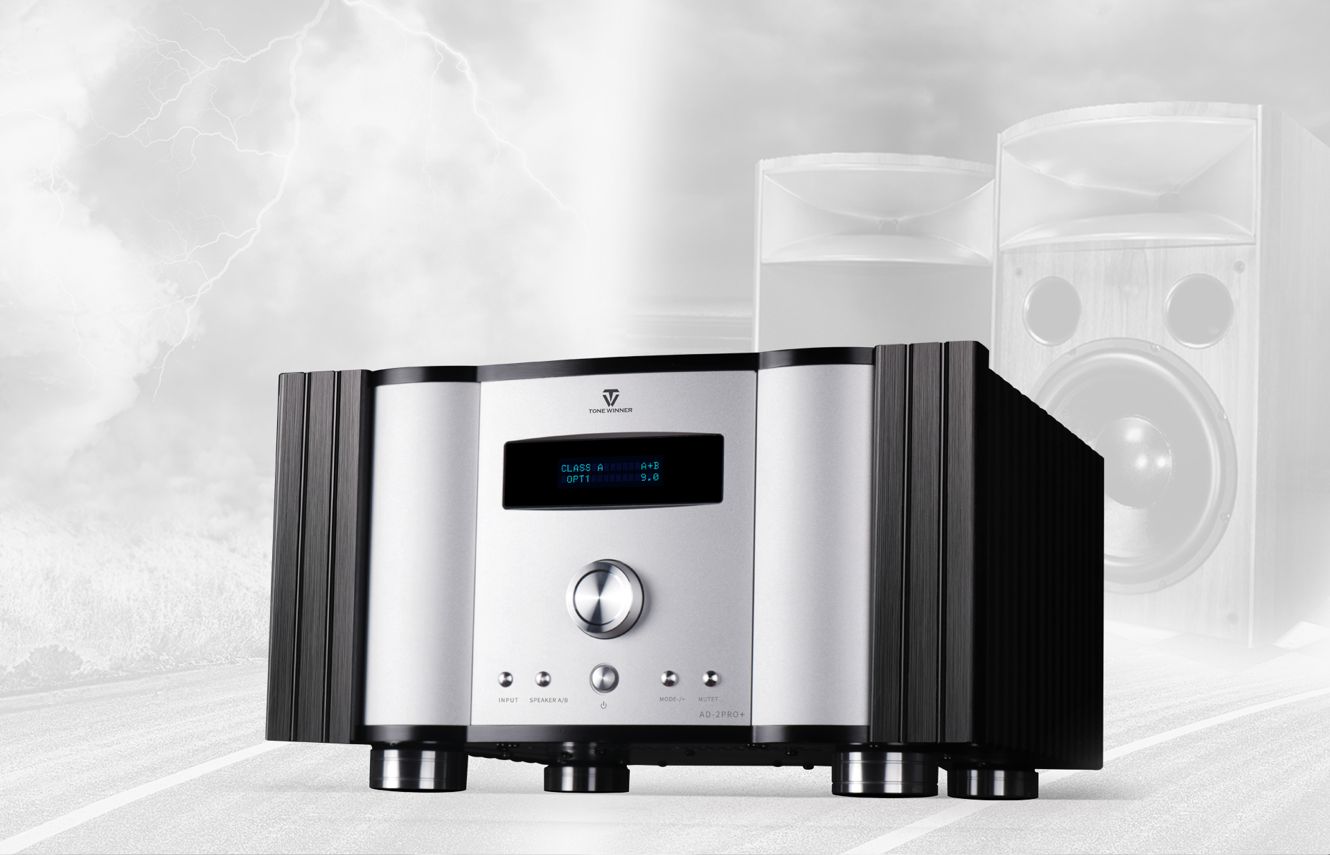 China Tonewinner DSD decoding Hi-Fi class A integrated amplifier ...